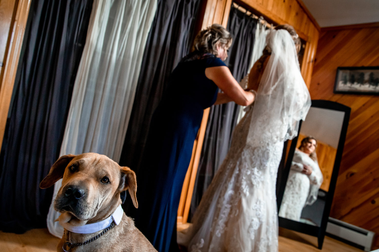 Best Wedding Photos of 2020 | A Wedding Season Recap