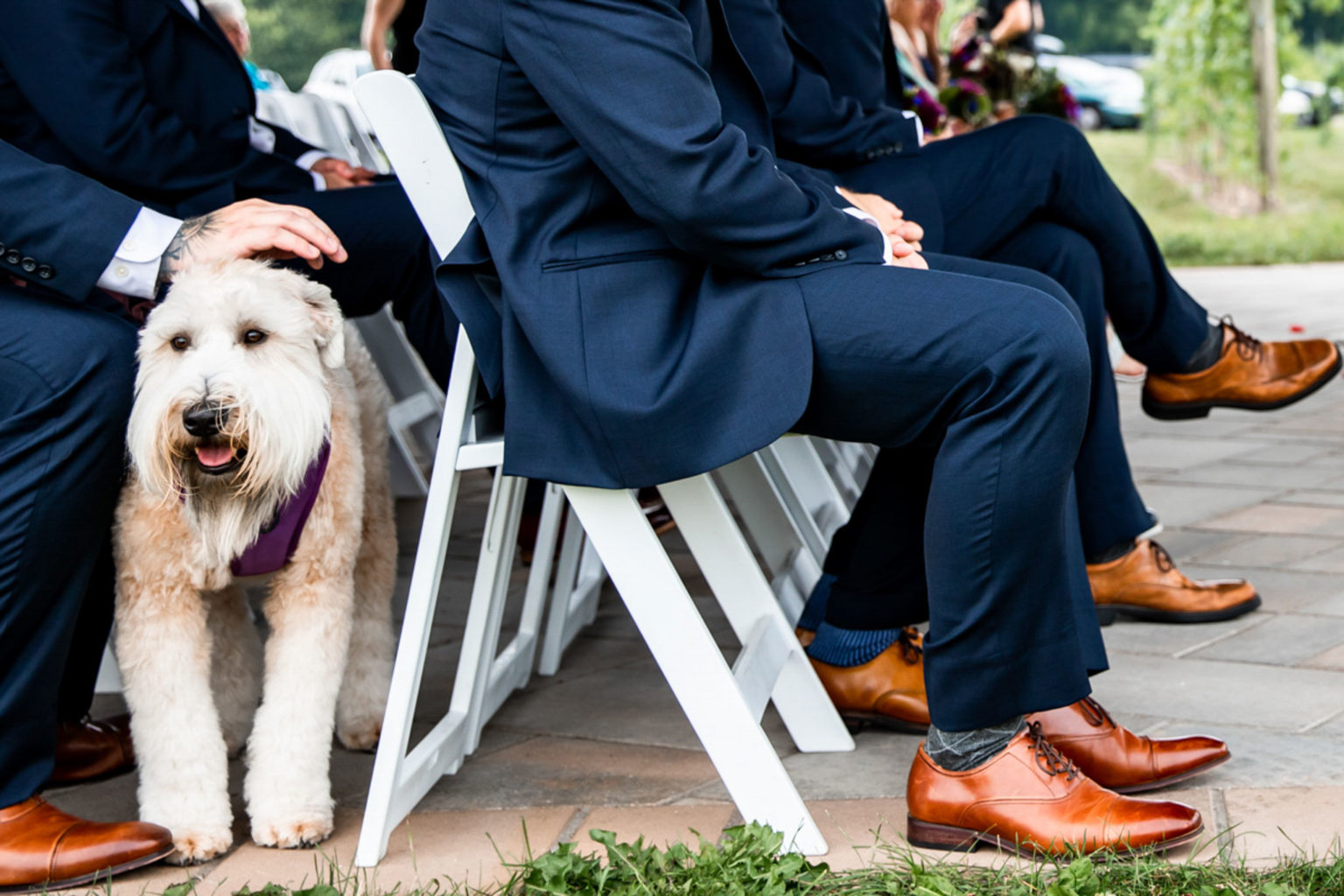 Including dogs in Weddings - Duluth/Minneapolis Wedding Photographer