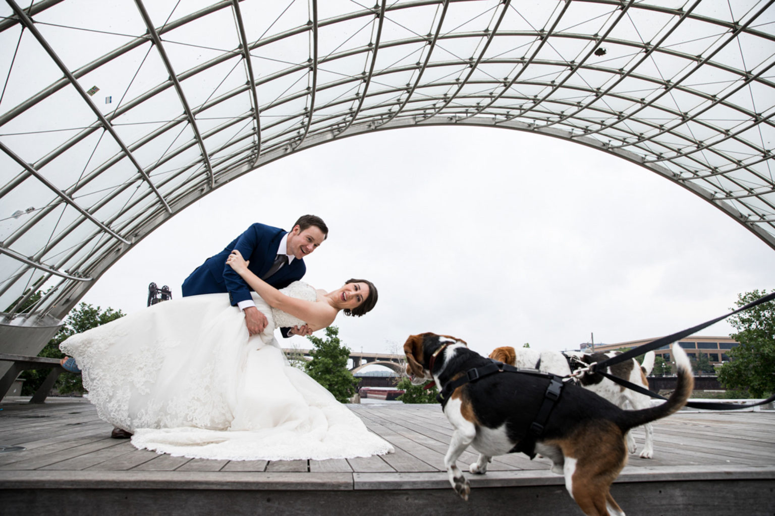 Including dogs in Weddings - Duluth/Minneapolis Wedding Photographer
